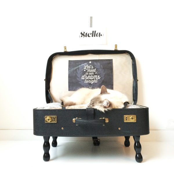 Katteseng-diy designparken.com